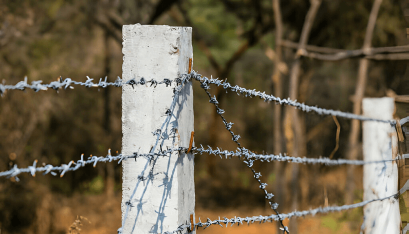 Different Types of Barbed Wire and Their Benefits & Costs in 2025