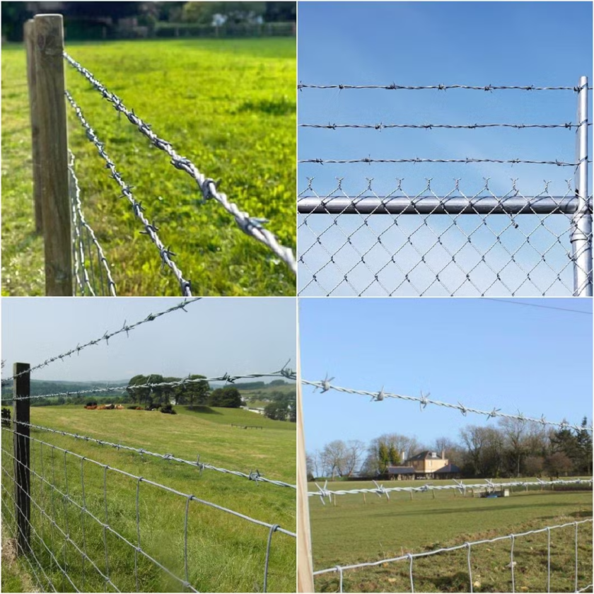 Different Types of Barbed Wire and Their Benefits & Costs in 2025